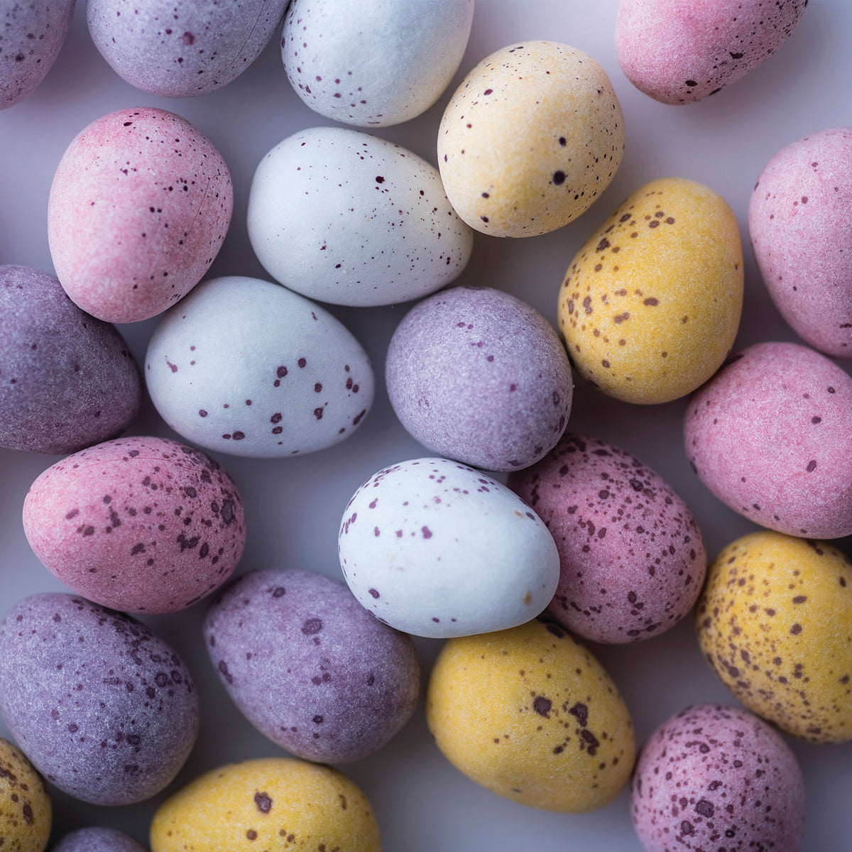 EASTER PROMOTIONS – Bio Sculpture Canada